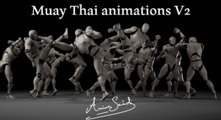 Combat animations - Kickboxing and Muay Thai V2 - Unreal Engine Asset