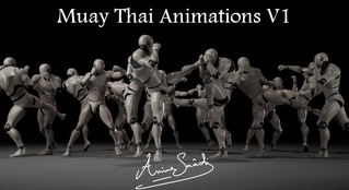 Combat animations - Kickboxing and Muay Thai V1 - Unreal Engine Asset